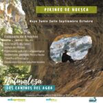 los caminos del agua - Birding Aragón